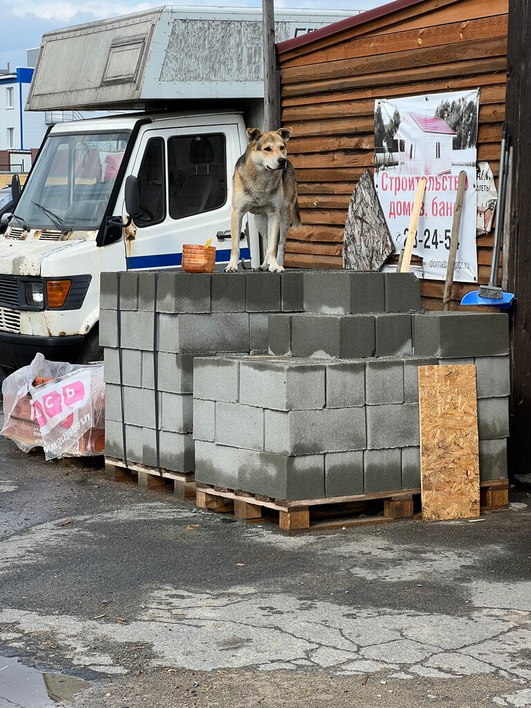 Hamam ve sauna inşaatı Berega Onego, Petrozavodsk, foto
