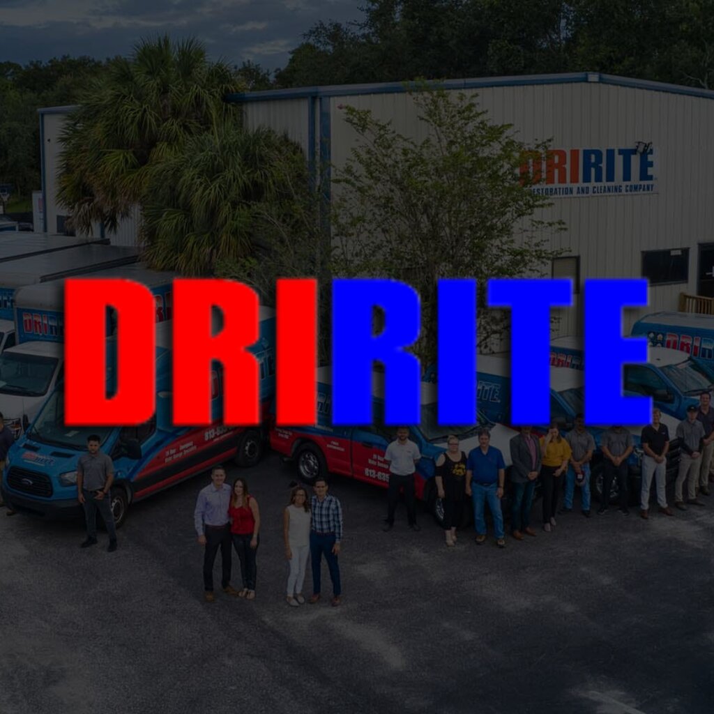 Halı yıkamacılar DriRite - Disaster Restoration, Florida Eyaleti, foto