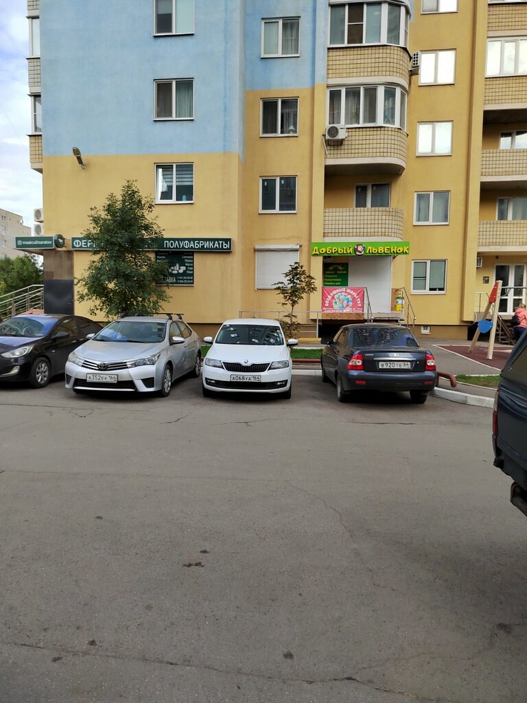 Çocuk oyunları ve oyuncakları Добрый львенок, Saratov, foto