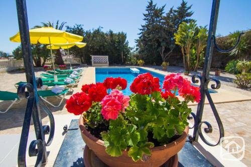 Otel Abahana Villas Albatros, Valensiya, foto