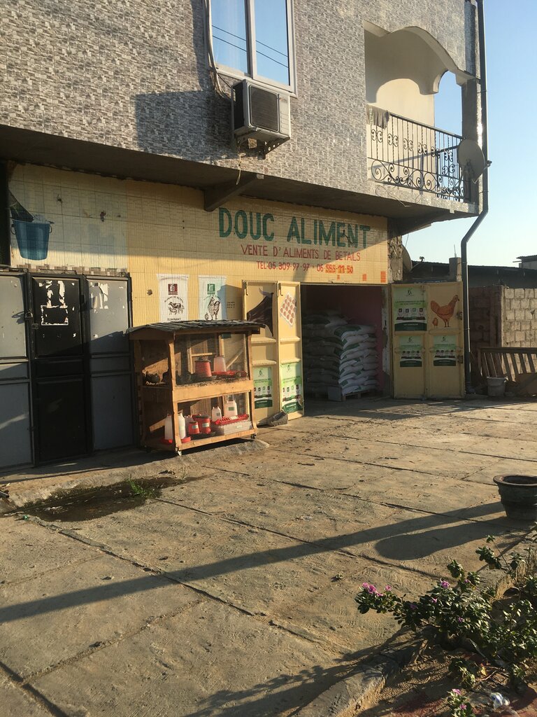 Benzin istasyonu Totalenergies Kintele Fleuve, Dünya, foto
