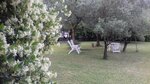 Francy (Via Negrelli No:13, Arco, Riva del Garda), otel  Trentino‑Alto Adige'den