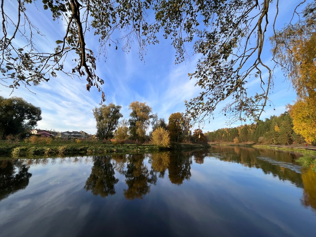 Parklar ve ormanlar Природный рекреационный комплекс Волковский берег, Moskova ve Moskovskaya oblastı, foto