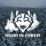 Haski in Forest (Dorozhnaya ulitsa No:13, posyolok Angarskiye Khutora), seyahat acenteleri  İrkutskaya oblastından