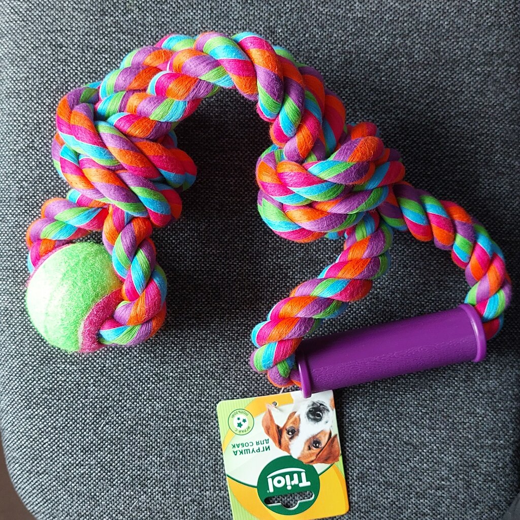 Petshop Artemon, Almatı eyaleti, foto