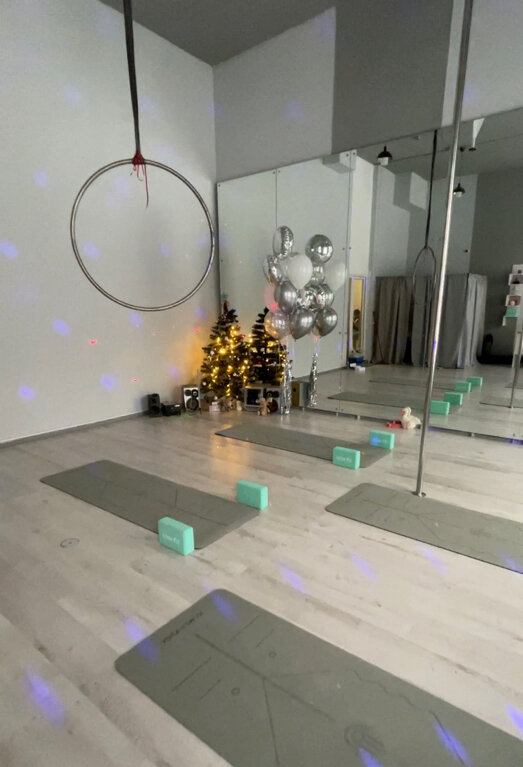 Dans okulları Flamingo Pole Dance, Moskova, foto