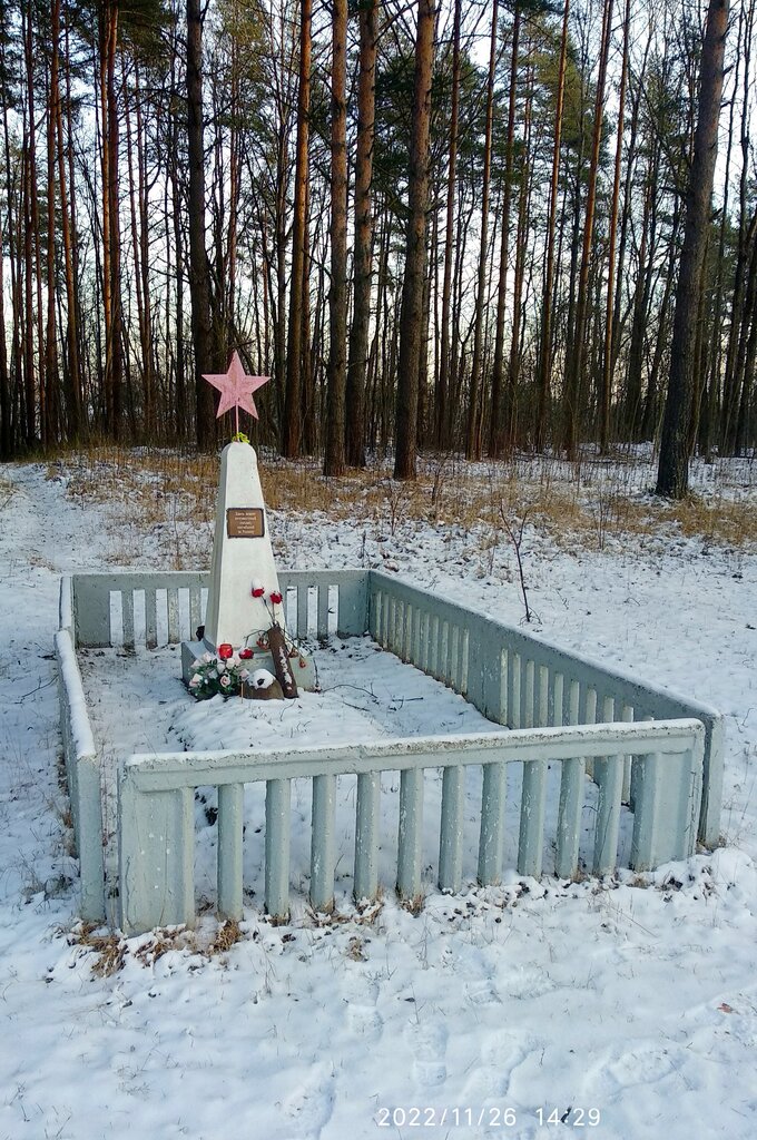 Unutulmaz olayların yeri Место гибели пограничника майора А.Д. Гарькавого, Saint‑Petersburg ve Leningradskaya oblastı, foto
