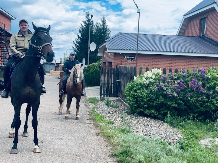 At ve binicilik kulüpleri Allure56, Orenburgskaya oblastı, foto