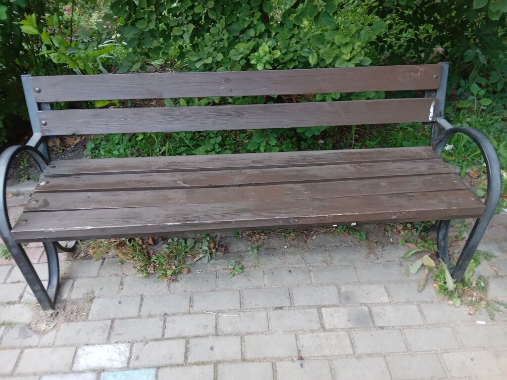 Bank Bench, Saint‑Petersburg, foto