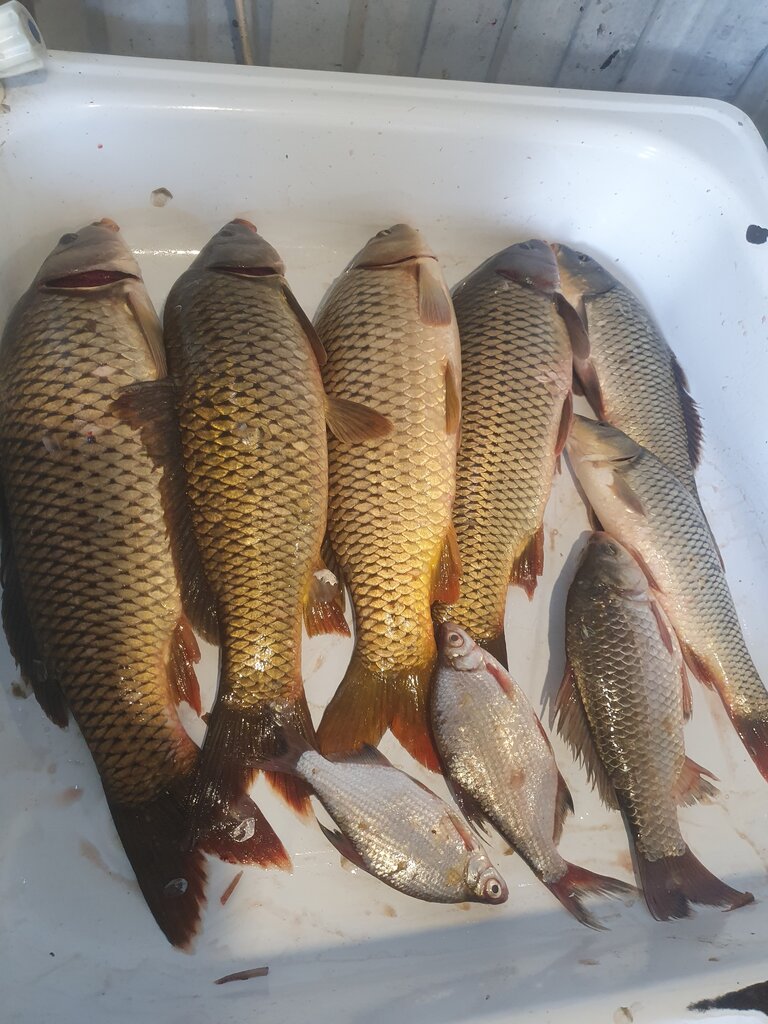i̇skele Jetty , Astrahanskaya oblastı, foto