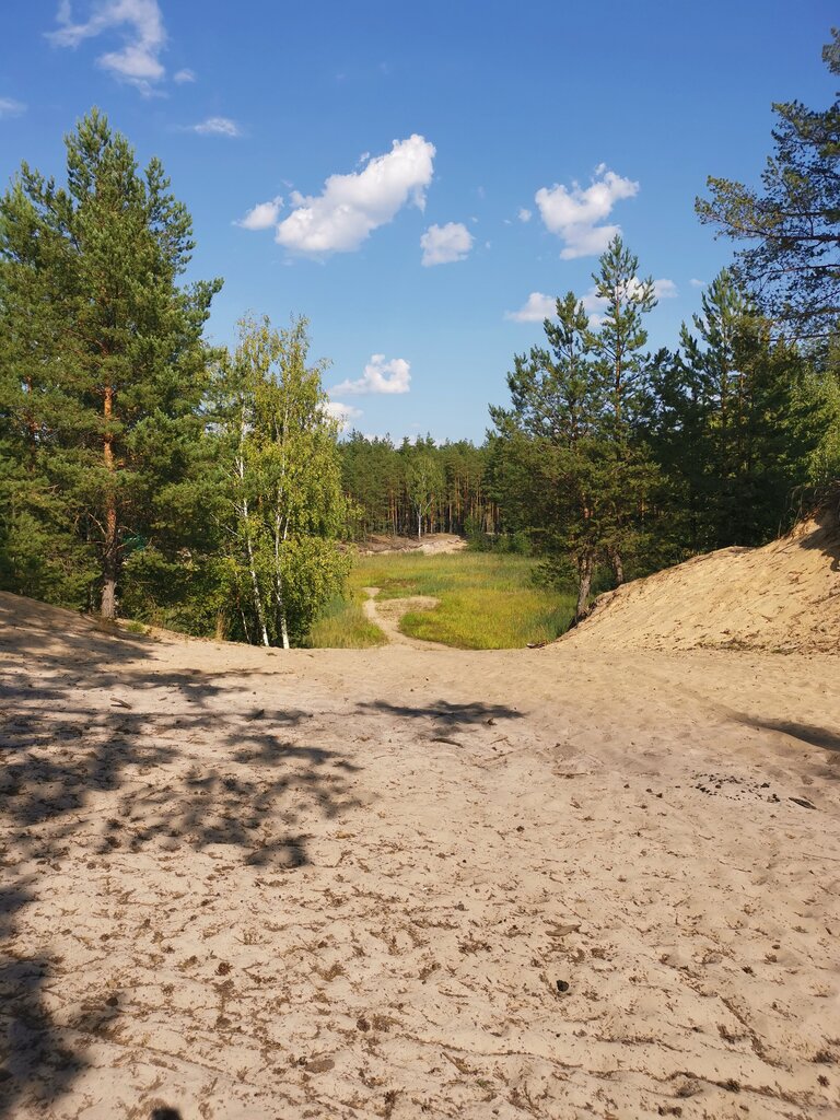 Plaj Пляж, Nijegorodskaya oblastı, foto