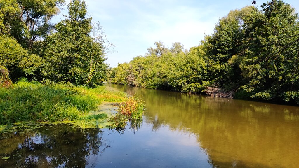 Plaj Пляж, Samarskaya oblastı, foto