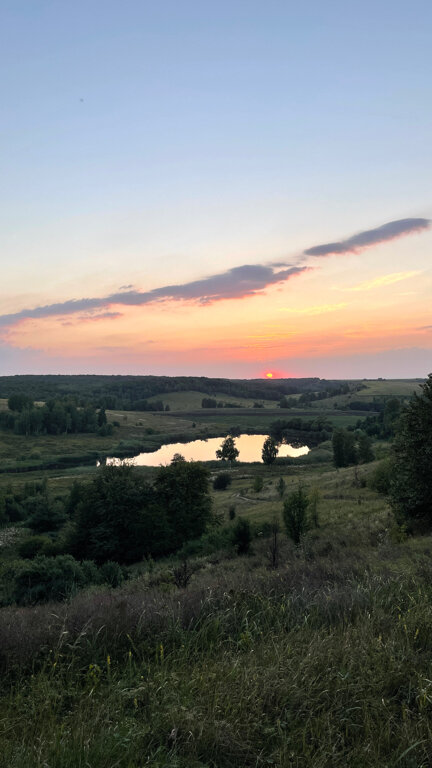 Orman урочище Озерово, Belgorodskaya oblastı, foto