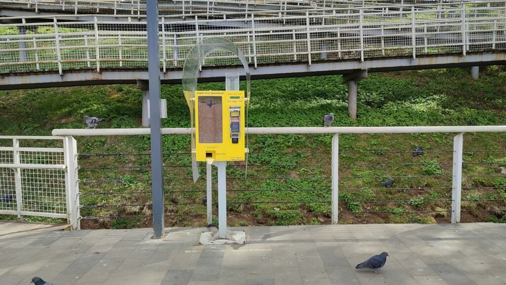 Petshop Feed the ducks, Dolgoprudny, foto