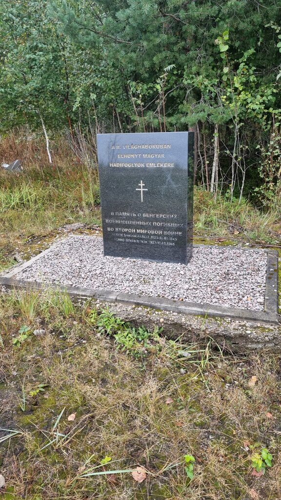 Anıt, heykel Венгерским военнопленным, Tverskaya oblastı, foto