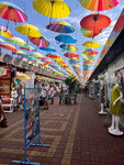 Alley of Flowing Umbrellas (Nizhneimeretinskaya Street No:133А, Urban-Type Settlement of Sirius), pazarlar ve çarşılar  Krasnodarski krayından