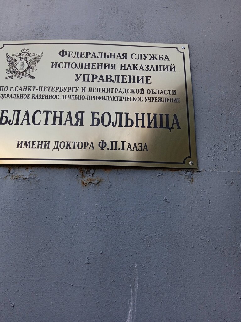 Hastaneler F. P. Gaaza Regional Hospital, Saint‑Petersburg, foto