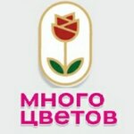 Mnogo cvetov (Kolkhoznaya ulitsa No:2А, derevnya Vartemyagi), çiçekçiler  Saint‑Petersburg ve Leningradskaya oblastından