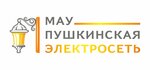Pushkinskaya electric grid (Lesnaya ulitsa No:17), elektrik servisi  Puşkino'dan