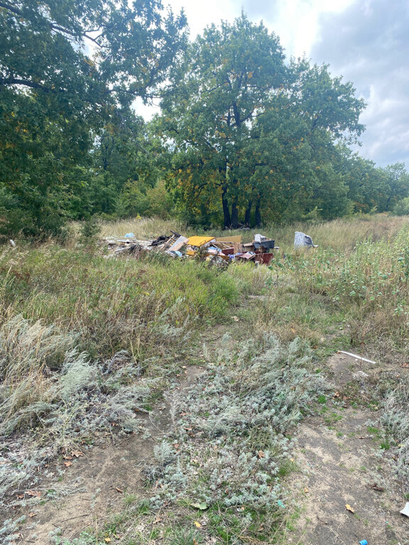 Orman Акулов лес, Saratovskaya oblastı, foto