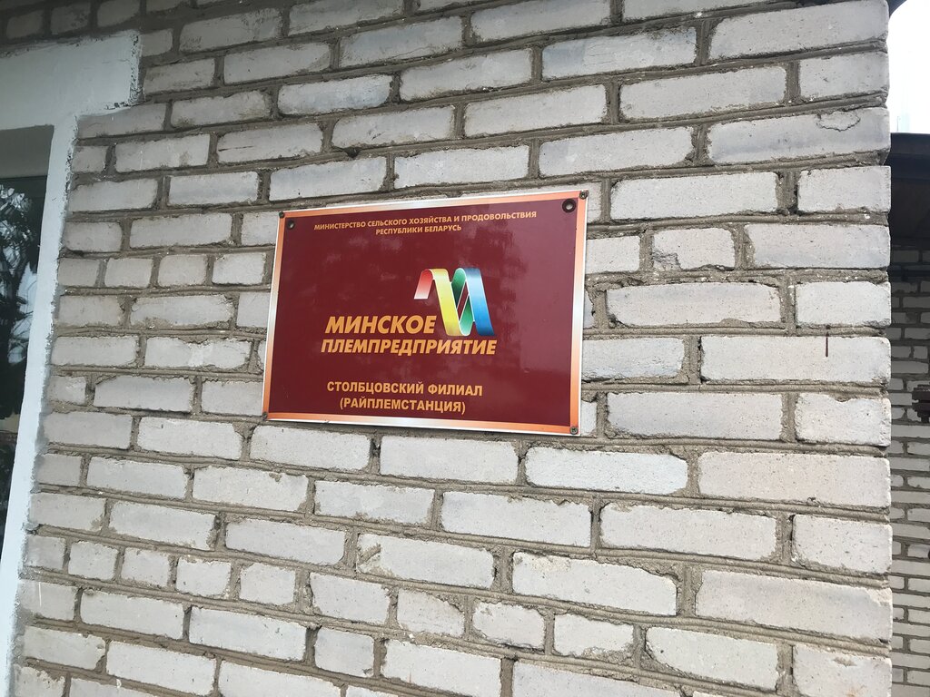 Tarım firmaları Minskoye Plempredpriyatiye Rusp Stolbtsovsky filial, Stolbtsy, foto