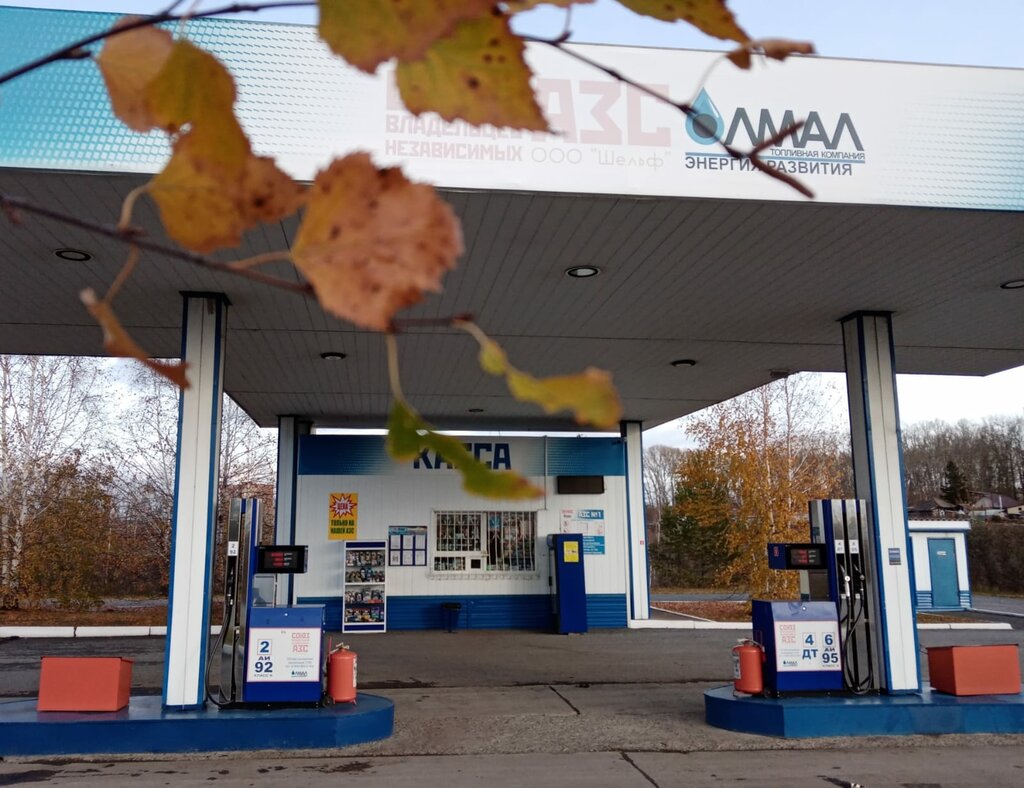 Benzin istasyonu Olmal, Nazarovo, foto
