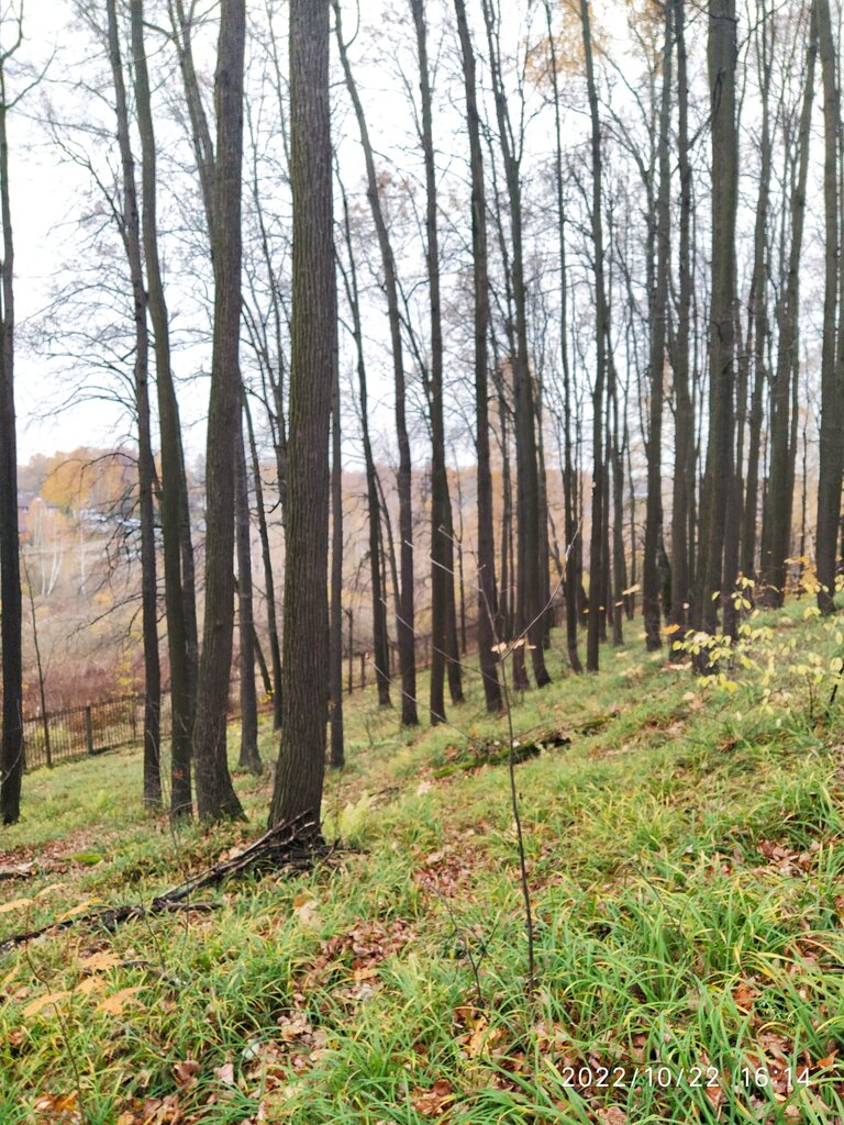 Turistik yerler Селище Бурковское-1, Koroliov, foto