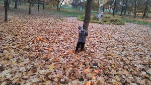 park kuĺtury i adpačynku Lipavy haj (Magiliowskaja voblasc, Bialynichy, park kuĺtury i adpačynku Lipavy haj), kültür ve eğlence parkları  Bialynichy'den