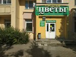 Городские цветы (praspiekt Budaŭnikoŭ No:8), çiçekçiler  Vitebsk'ten