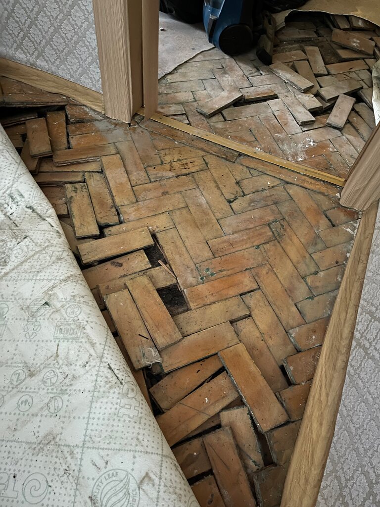 Hukuk büroları Association of Independent Experts, Stupino, foto