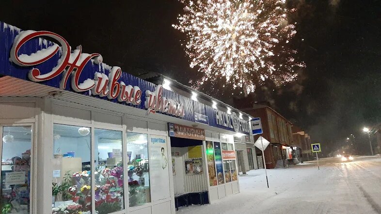 Çiçekçiler Живые цветы, Buzuluk, foto