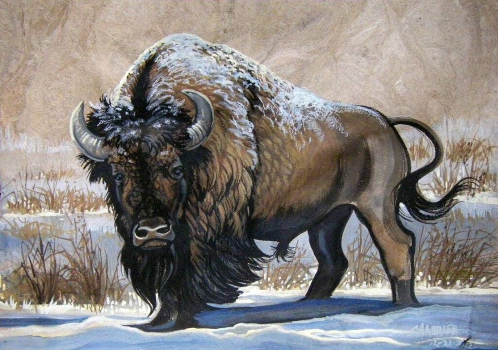 Toptan et ürünleri ТД Бизон, Moskova ve Moskovskaya oblastı, foto