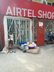 Shop airtel 23 (Brazzaville, Commune de Bacongo, Avenue de Djoué, 752), tapu ve kadastro  Kongo'dan
