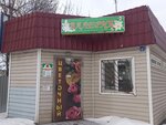 Валерия (Respublikanskaya ulitsa No:6, selo Breytovo), çiçekçiler  Yaroslavskaya oblastından