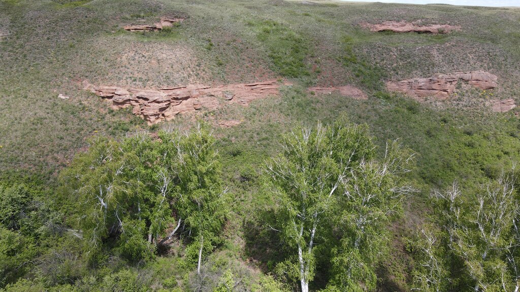 Doğa Геологический памятник природы Мясниковский меднорудный яр, Orenburgskaya oblastı, foto
