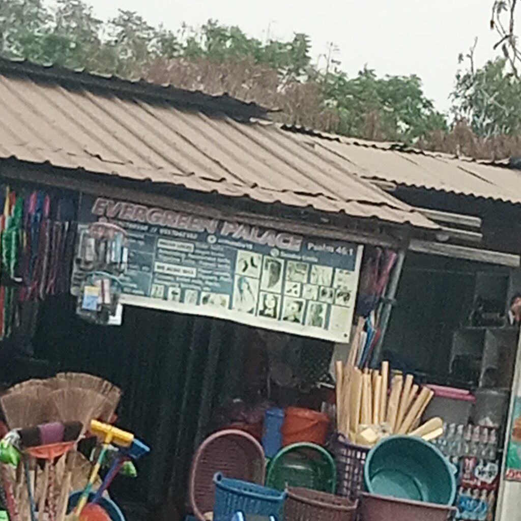 Market Evergreen palace, Dünya, foto