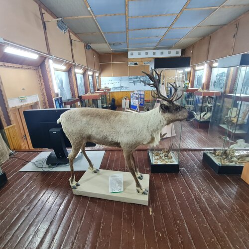 Müzeler ve sanat galerileri Ногликский муниципальный краеведческий музей, Sahalin Bölgesi, foto