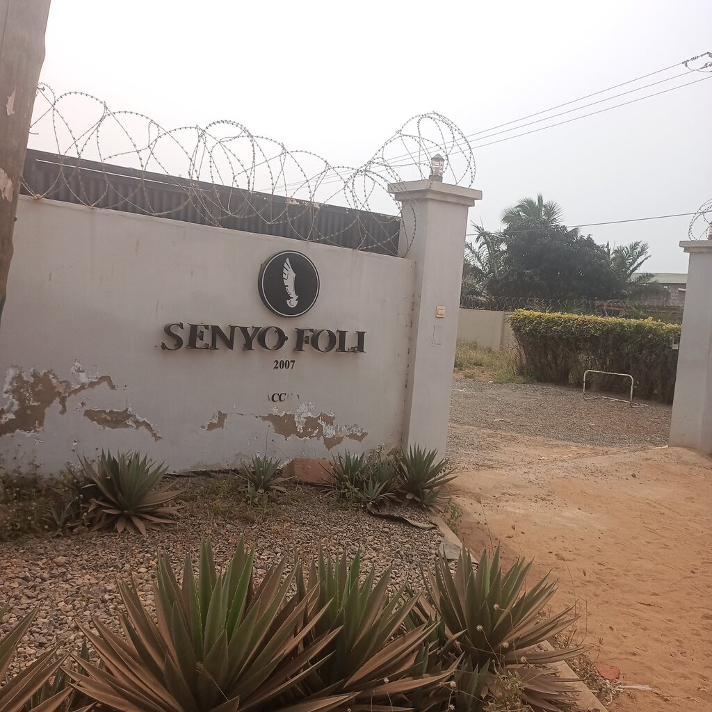 Terziler Senyo Foli, Dünya, foto