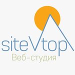 SiteVtop (ulitsa Pushkina No:6), web tasarım hizmetleri  Orel'den