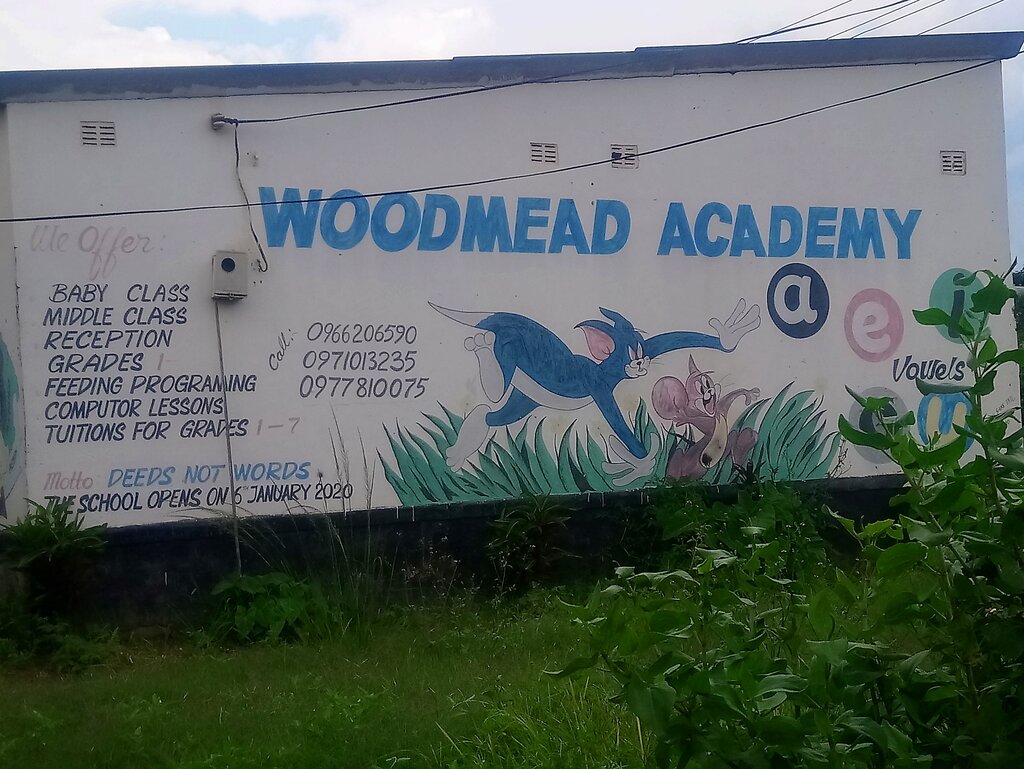 Ortaokul Wood mead academy, Lusaka, foto