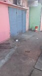 Piorro Couture (Brazzaville, Commune de Moungali, Rue Mayama), terziler  Brazzaville'den