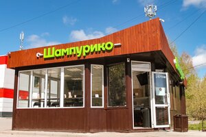 Shampuriko (ulitsa Olega Koshevogo No:25А), kafe  Revda'dan