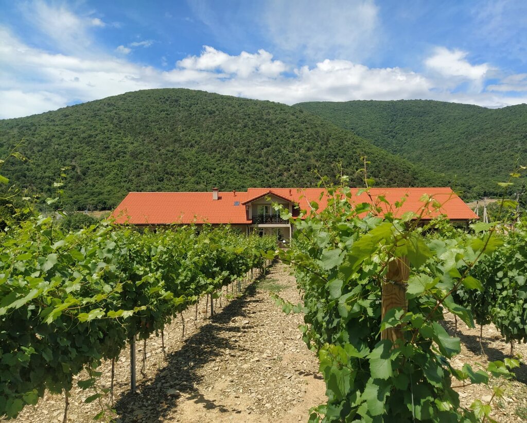 Şaraphane Chateau Durso, Krasnodarski krayı, foto