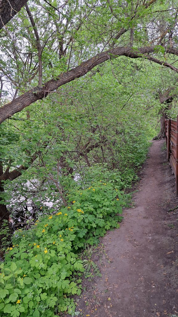 i̇skele Ездоцкая набережная, Stariy Oskol, foto