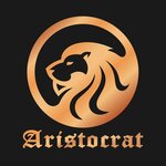 Aristocrat (ulitsa Mirsayeta Sultangaliyeva No:14, mikrorayon Ursala), erotik masaj salonu  Almetyevsk'ten (Elmet'ten)