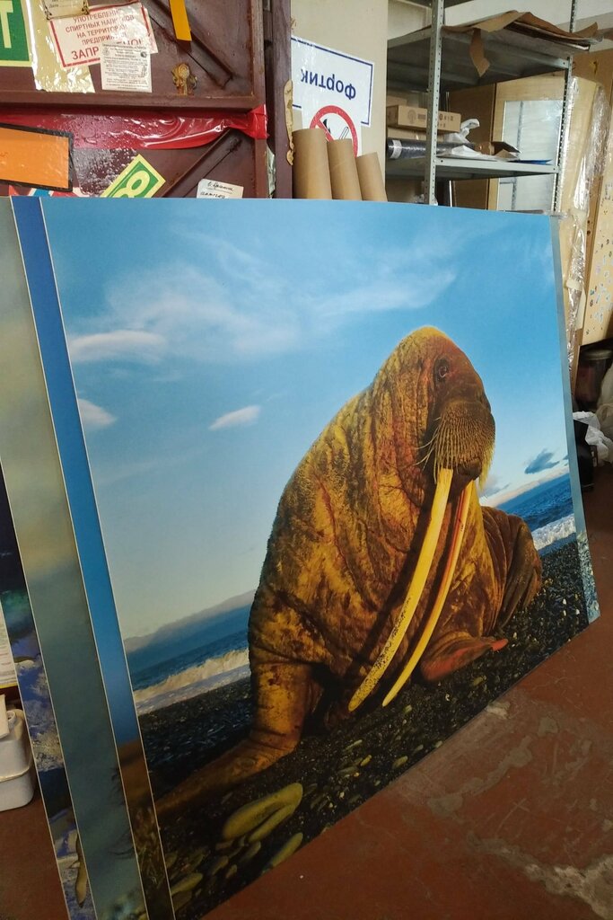 Trafik güvenliği ekipmanları Trans-Znak, Saint‑Petersburg, foto