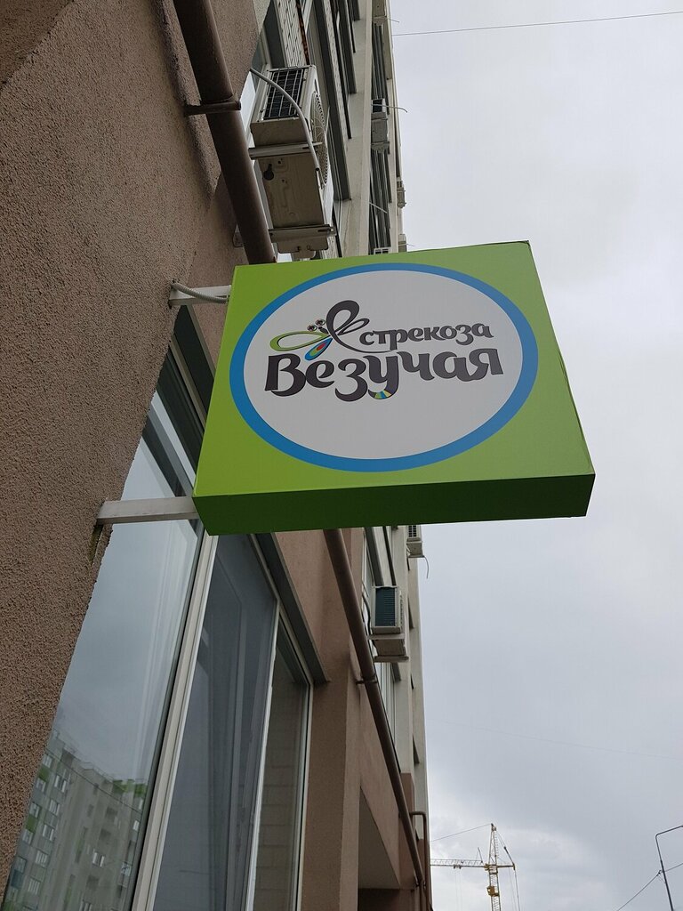 Paylaşımlı ofis Lucky Dragonfly, Saratov, foto