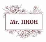 Mr. Pion (Turgenevskaya Street No:33А), çiçek teslimatı  Rostov‑na‑Donu'dan