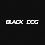 Black Dog (Zhukov Drive No:21Б), giyim mağazası  Moskova'dan