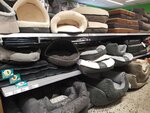 Fressnapf Coswig (Moritzburger Straße No:6, Dresden), petshop  Coswig'den